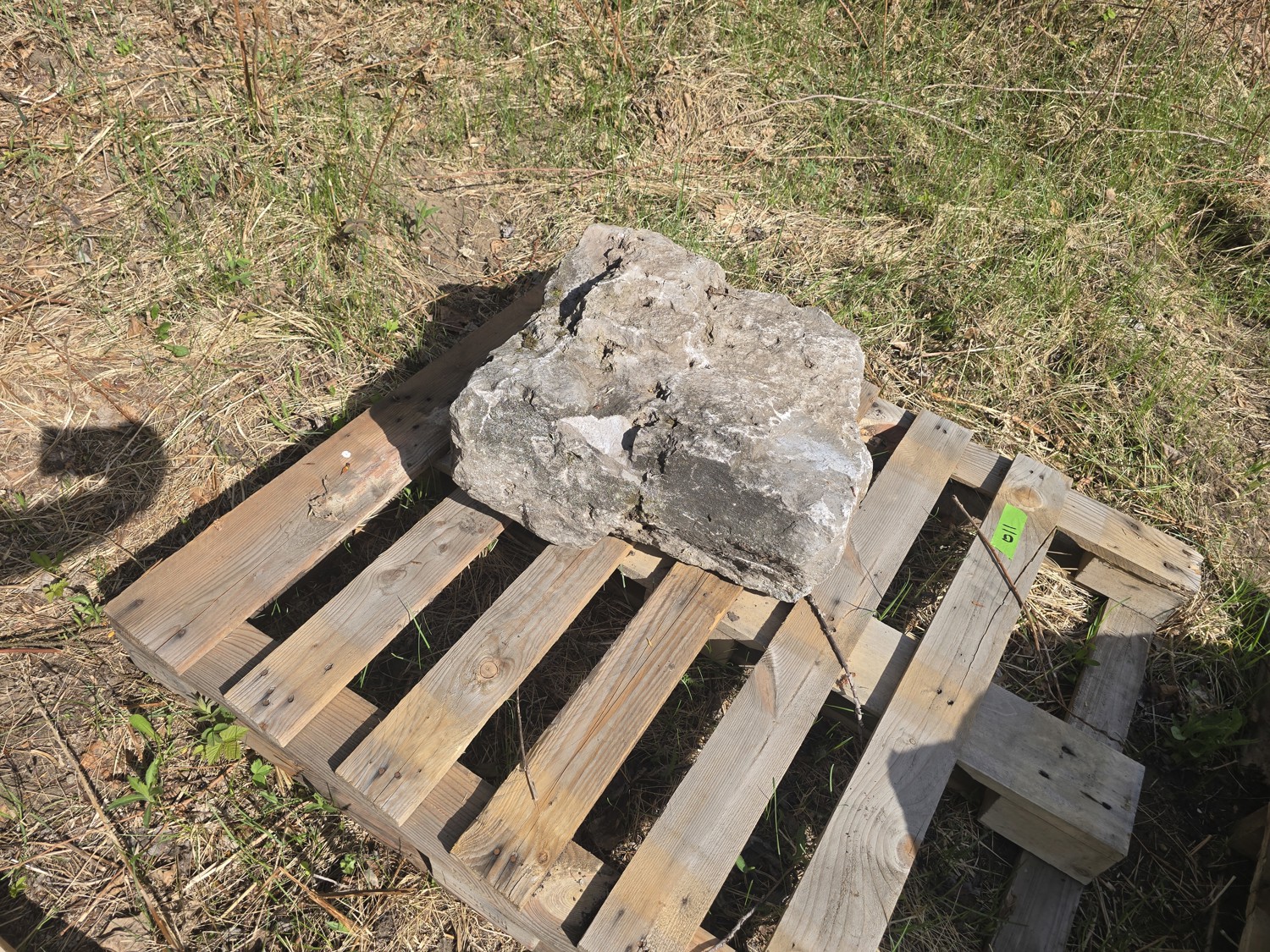 Landscape Rock - 26FI | Team Auctions