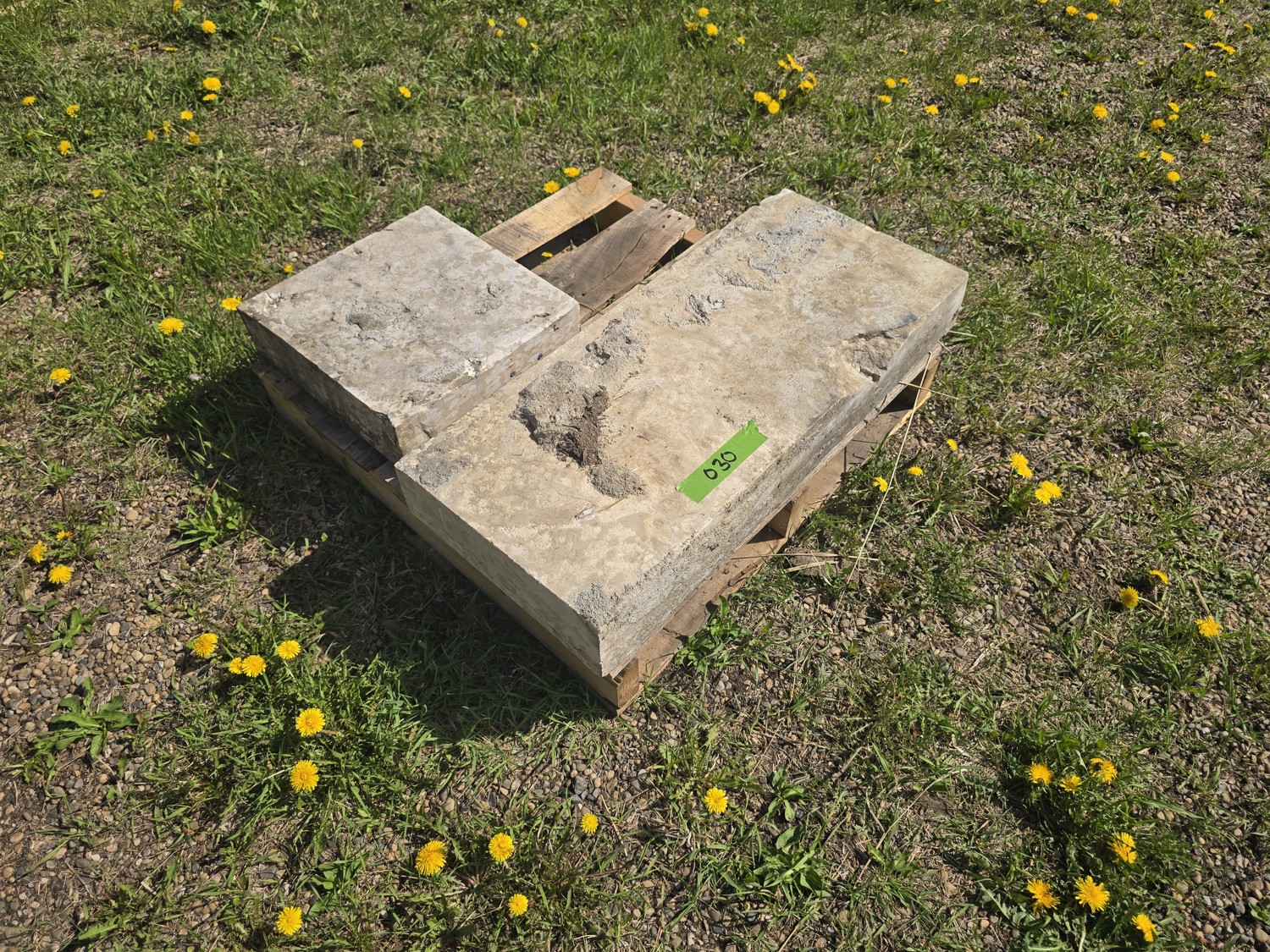 Qty of Assorted Landscape Rocks - 26FI | Team Auctions