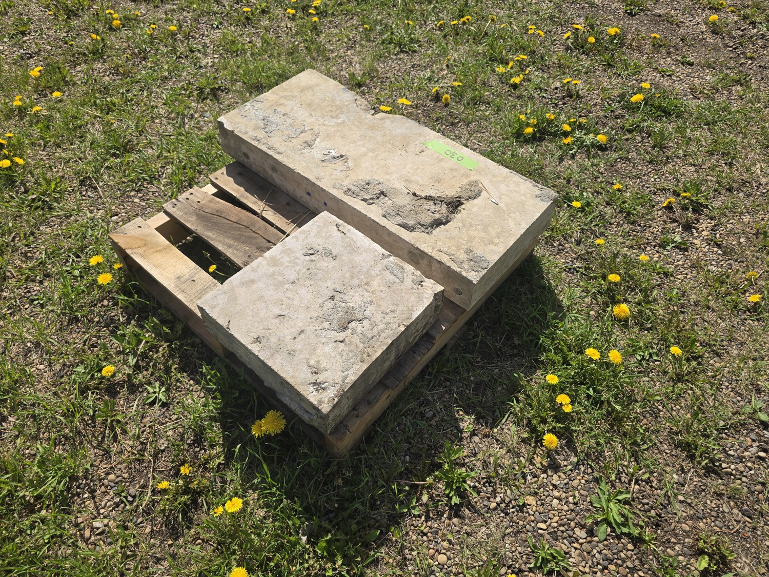 Qty of Assorted Landscape Rocks - 26FI | Team Auctions