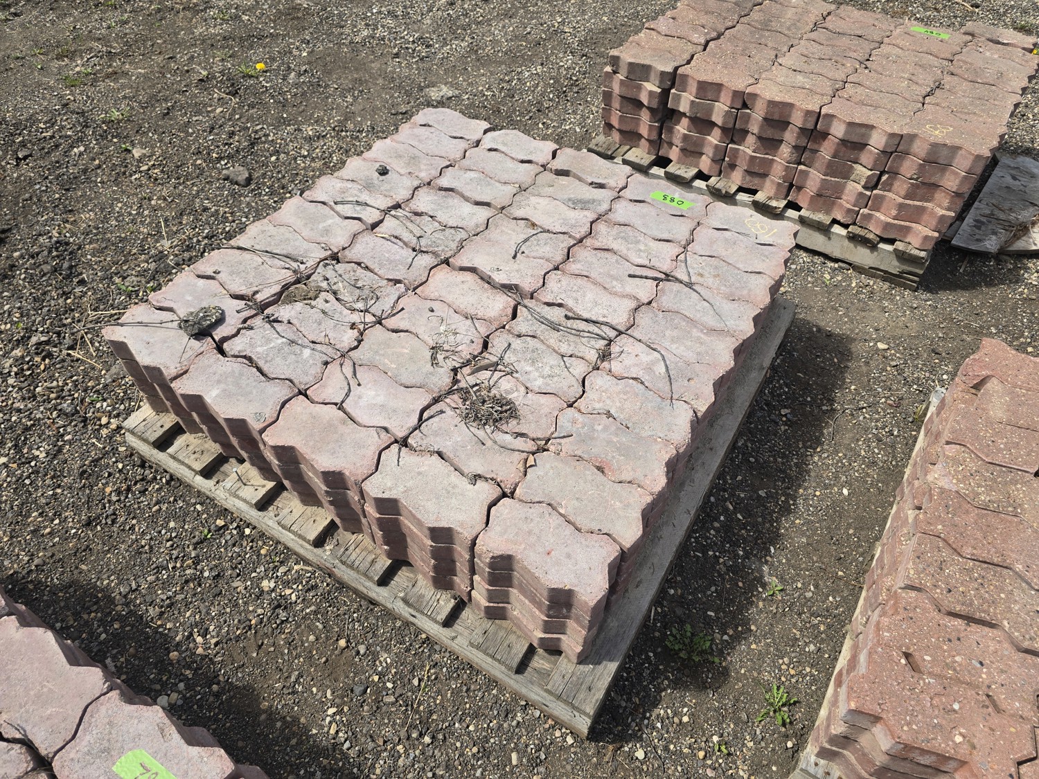 Qty of (200) 9 Inch X 4 Inch Bricks - 26FI | Team Auctions